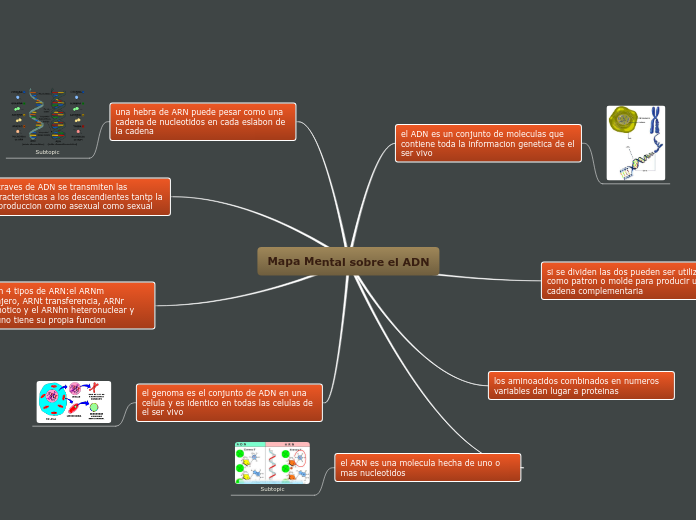 Mapa Mental sobre el ADN - Mind Map